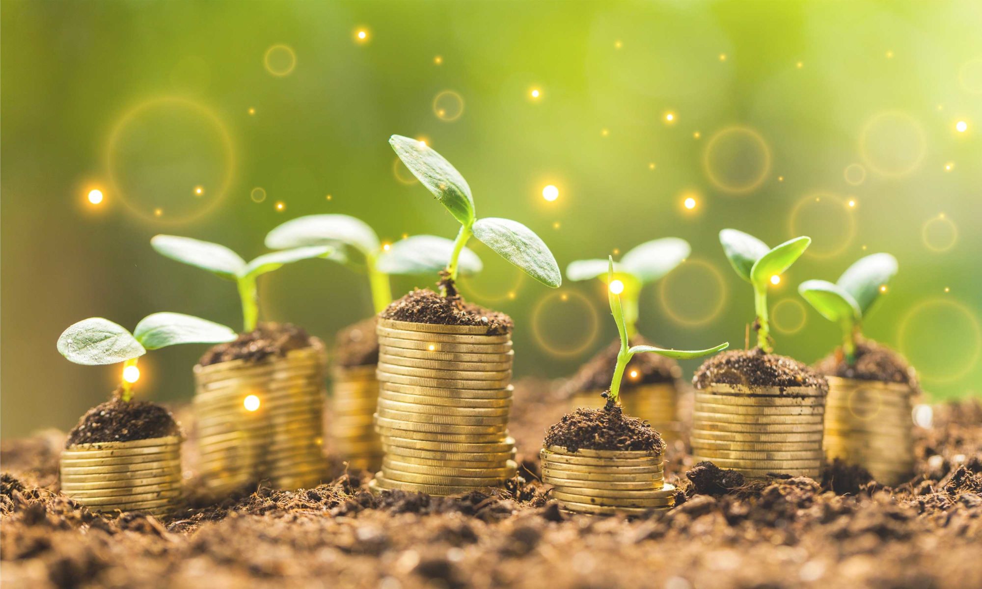 Subsidies en voordelen | GreenNL